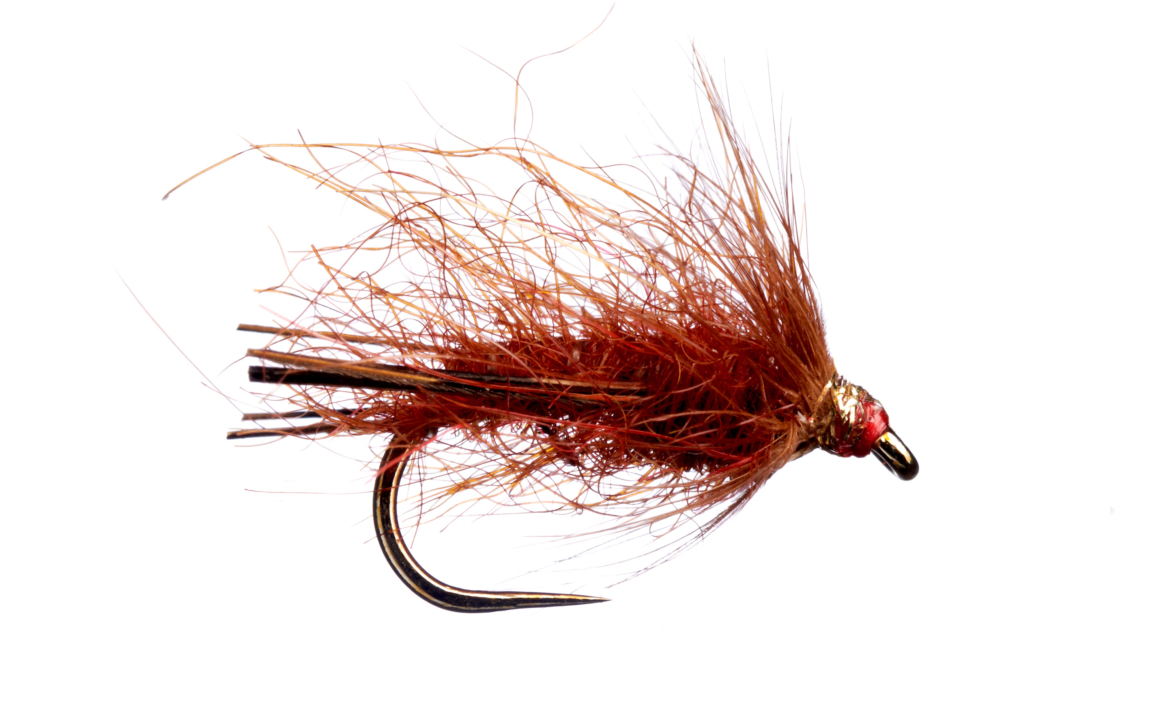 Fario Fly