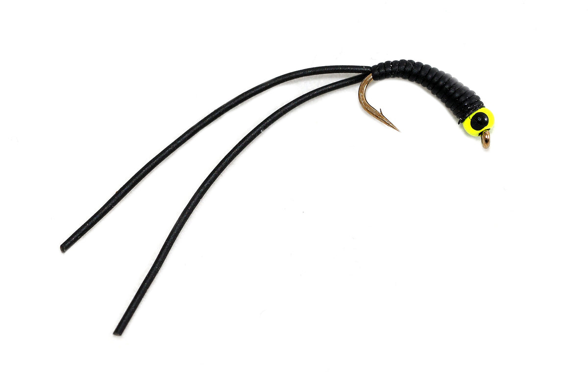 Black Cat Bug | Fario Fly