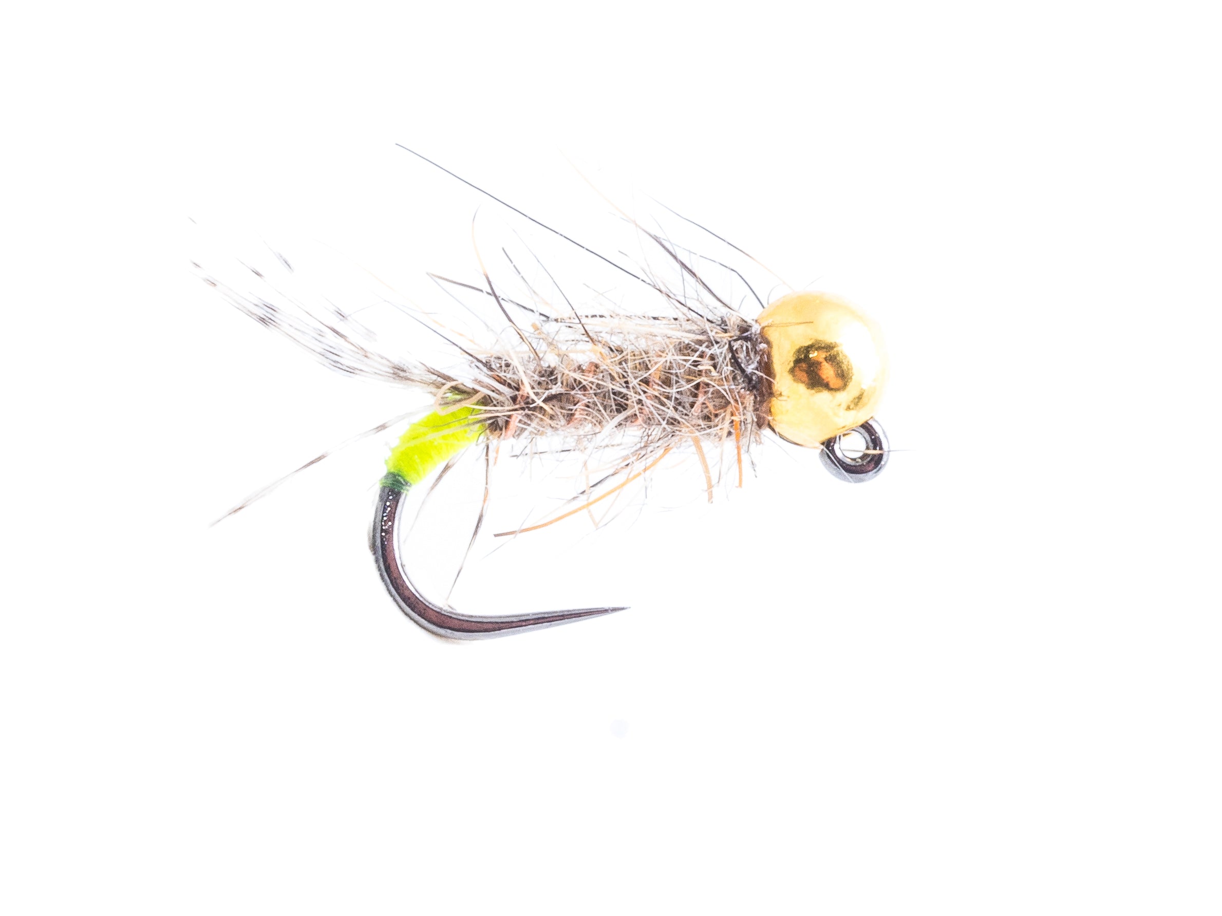 Fario Fly