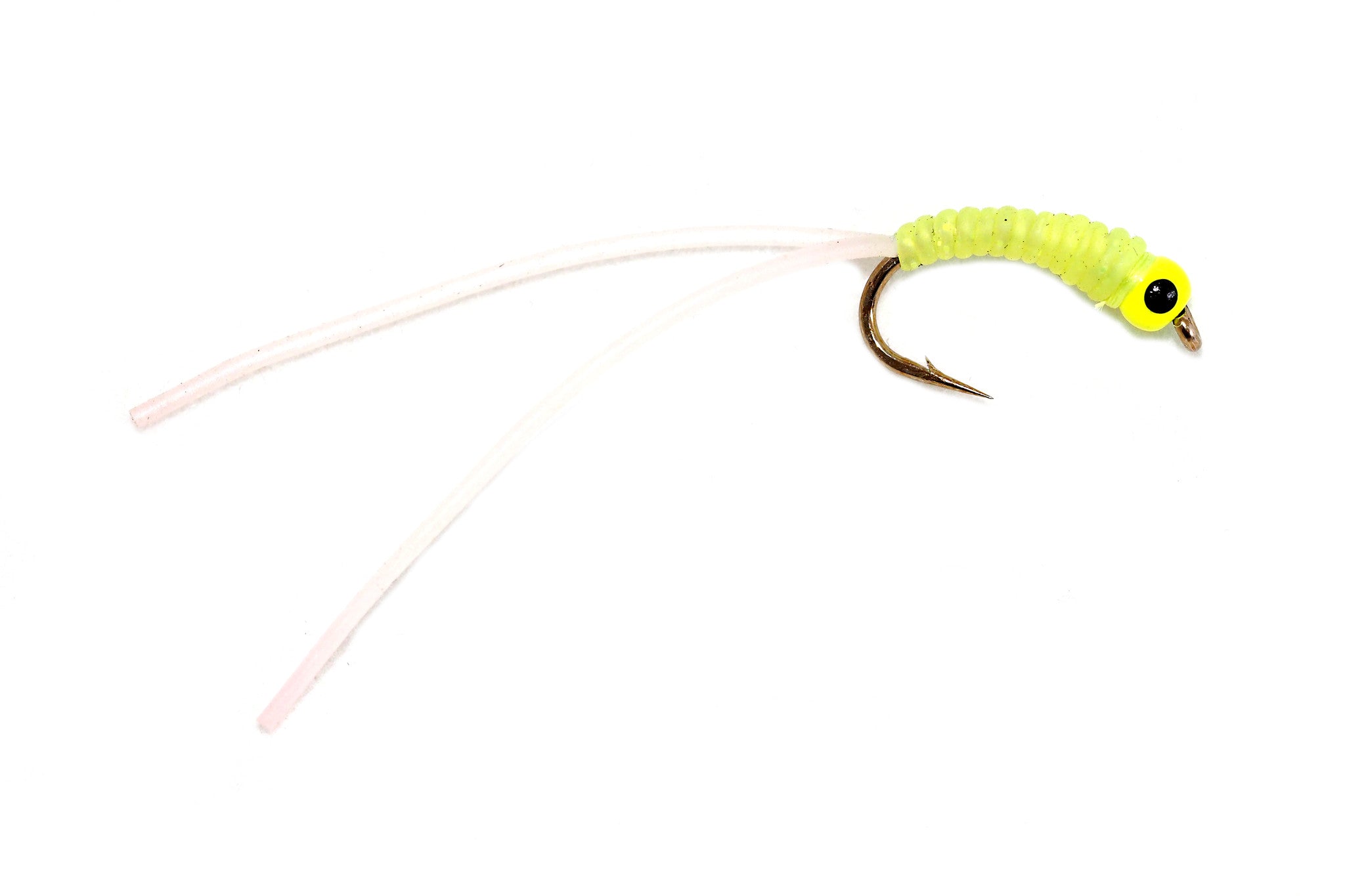 Cat Bug | Fario Fly