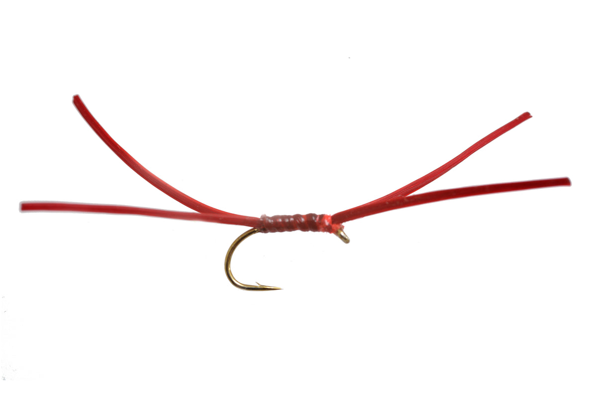 Mini Apps brandling worm | Fario Fly