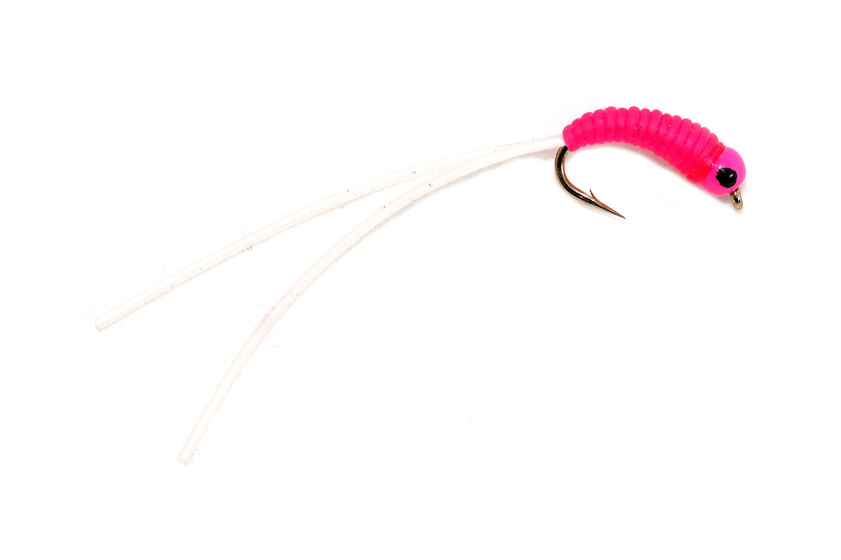Pink Bug | Fario Fly