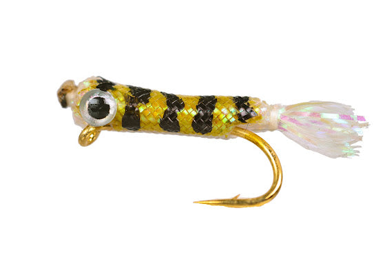 Mylar Fry Stickleback (international sized) | Fario Fly